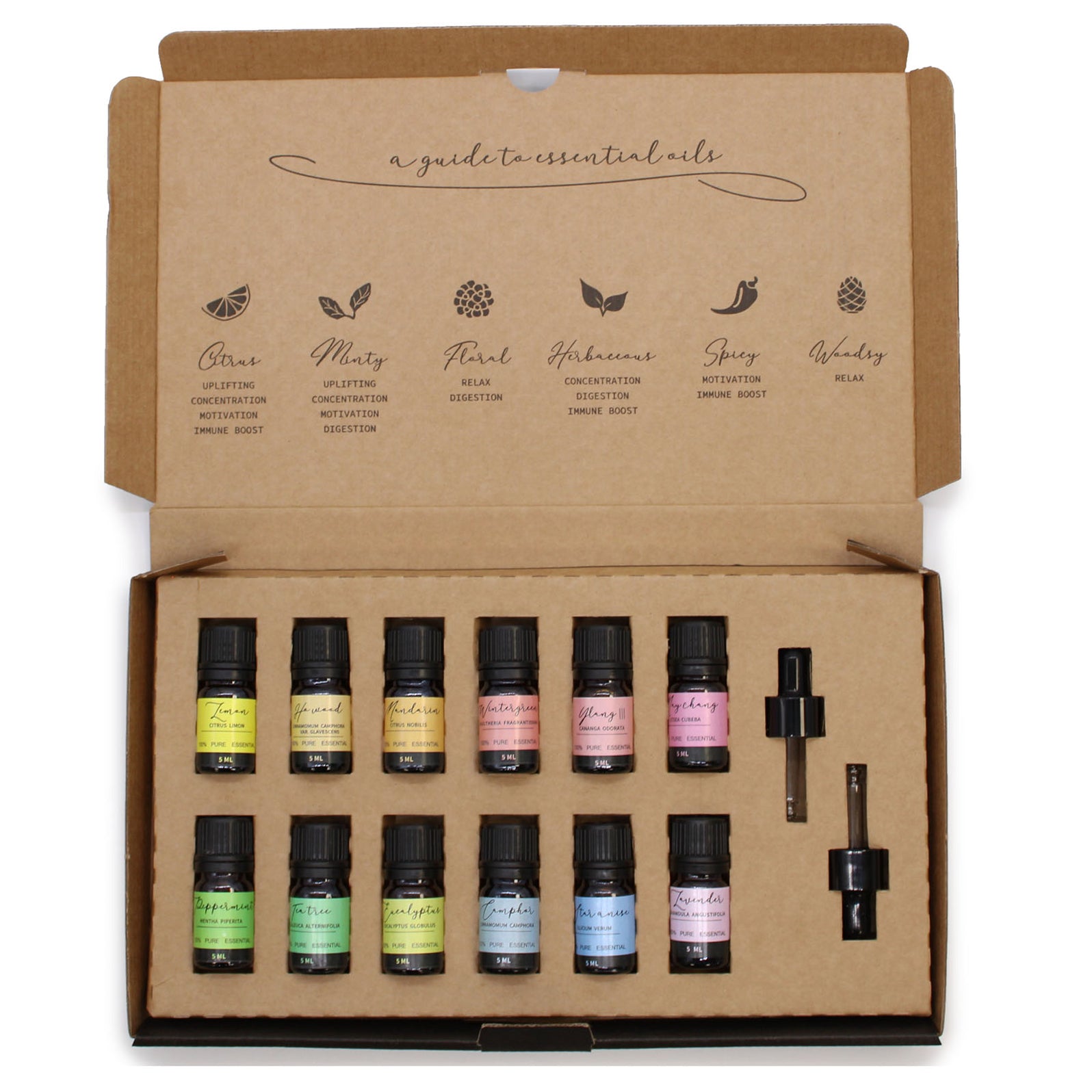 Pixie Paradise | Unique Gifts & Home Décor For Magical Minds